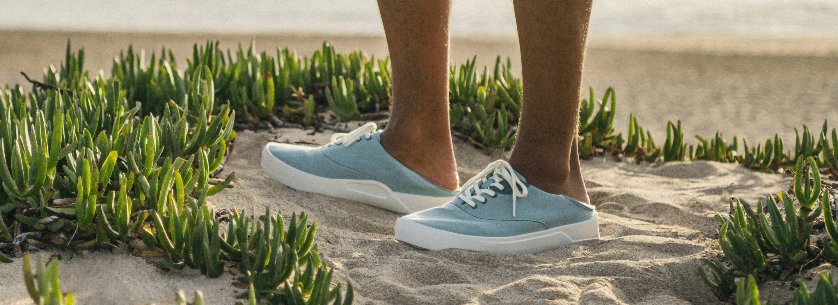 The Ultimate Spring Shoe Guide | OluKai – OluKai Canada